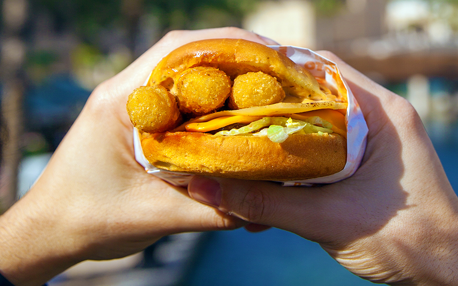 Doge Burger, A Unique Dogecoin-Inspired F&B Concept, Has Officially ...