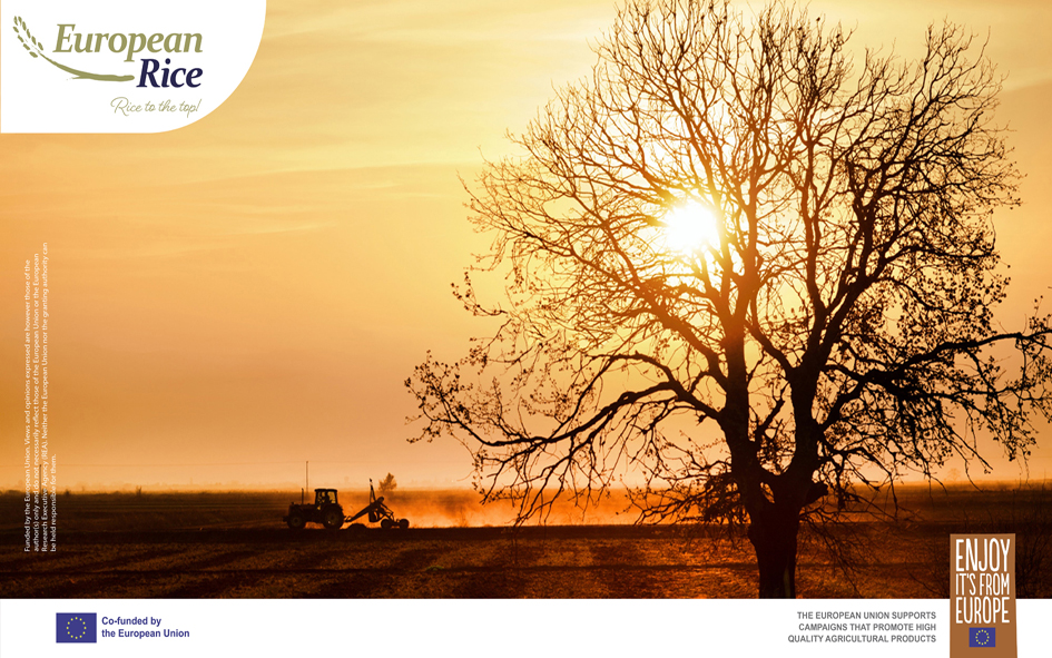 Sustainable production methods make European Rice an environmentally ...