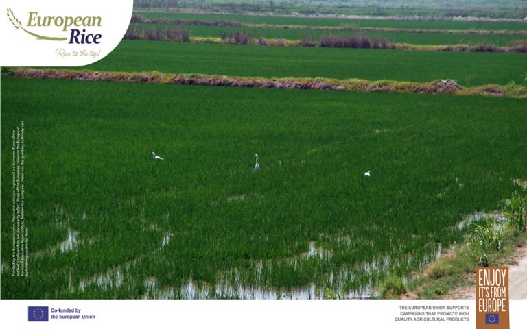 Sustainable production methods make European Rice an environmentally ...
