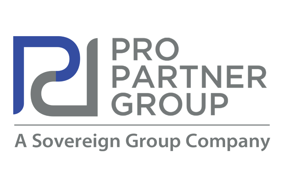 Unveiling Qatar's Business Success Secrets: PRO Partner Group and ...