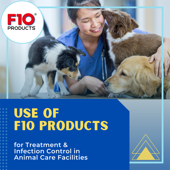 Eurovets highlights the use of F10 Products for treatment and infection ...